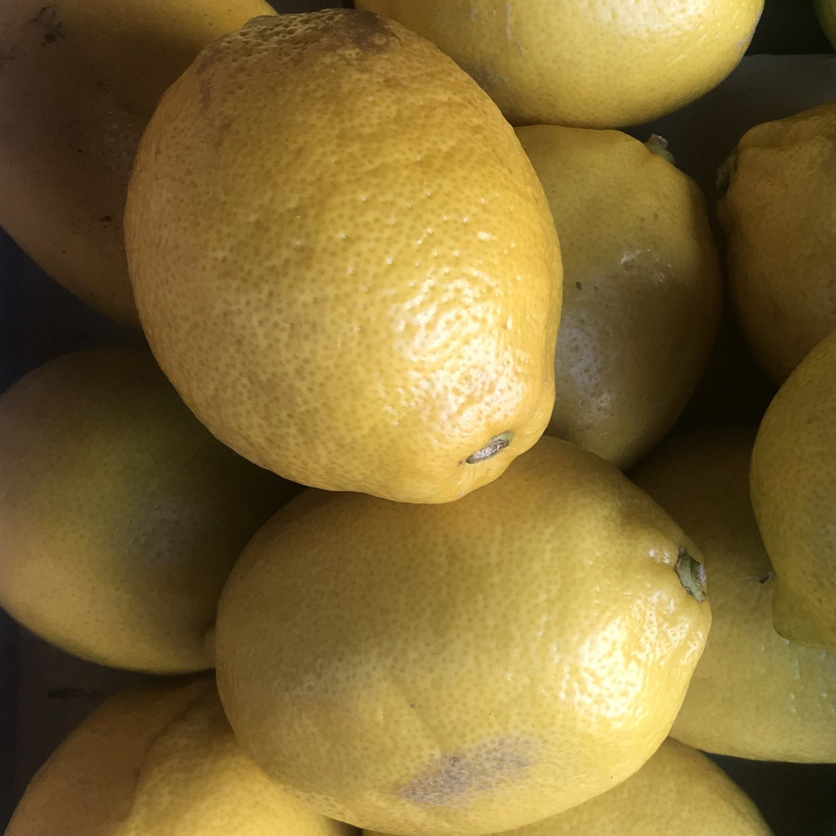Lemons – Crimple Valley Fresh